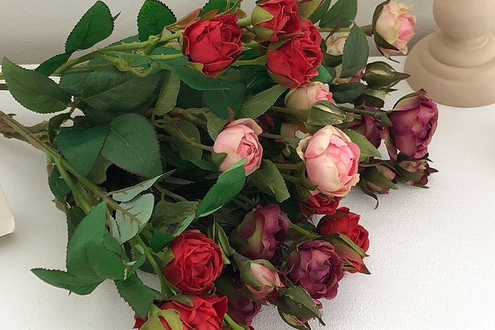 조화 > bookaz 롱 자나장미 3color | 오늘의집 쇼핑