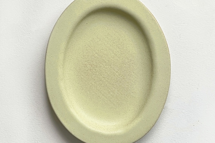 접시·플레이트 > oval flat plate_round_light green | 오늘의집 쇼핑