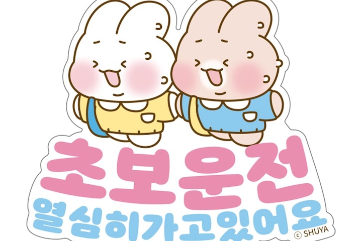 익스테리어용품 슈야토야 초보운전 안내문구 차량용 스티커 핑크스카이 오늘의집 쇼핑