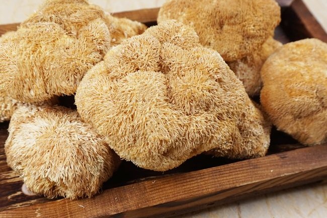 쌀·채소 버섯농부 국내산 무농약 건 노루궁뎅이버섯 50g 오늘의집 쇼핑