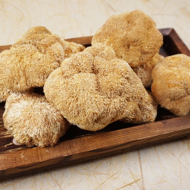 쌀·채소 버섯농부 국내산 무농약 건 노루궁뎅이버섯 50g X 2개 오늘의집 쇼핑