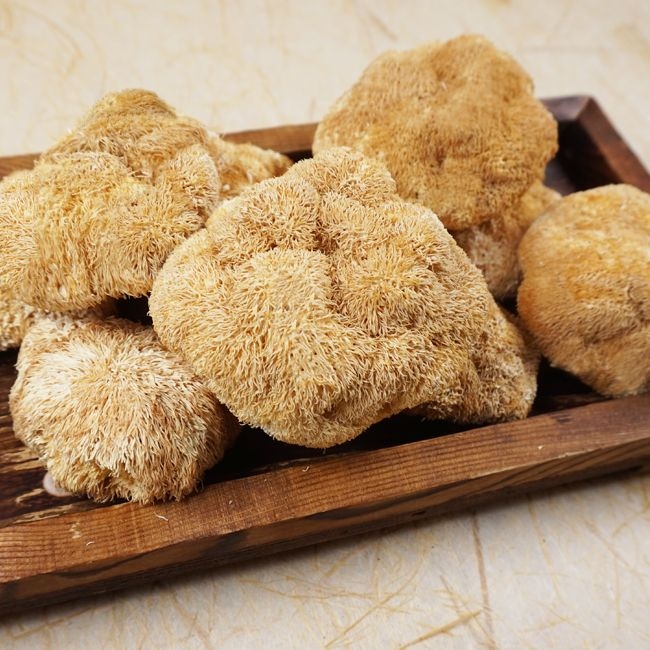 쌀·채소 버섯농부 국내산 무농약 건 노루궁뎅이버섯 50g X 2개 오늘의집 쇼핑