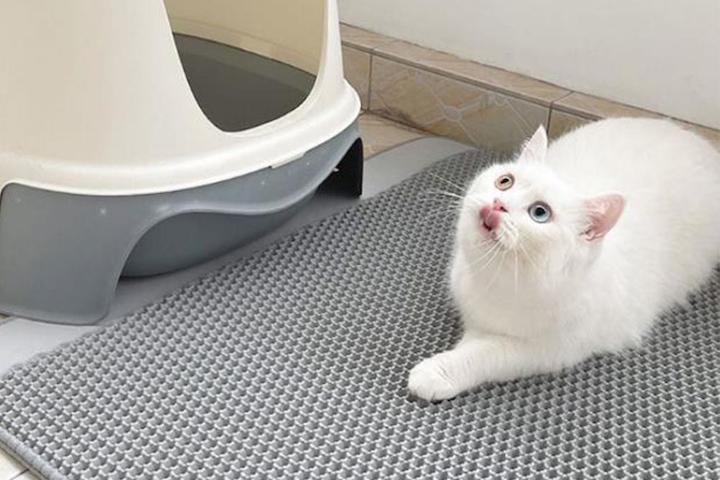 고양이 위생·배변 고양이 사막화 방지 벌집 모래매트 오늘의집 쇼핑