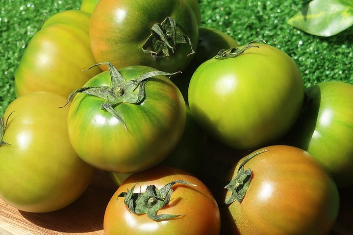 과일 > 제철 대저 짭짤이 토마토 1kg(로얄과/S-2S) | 오늘의집 쇼핑