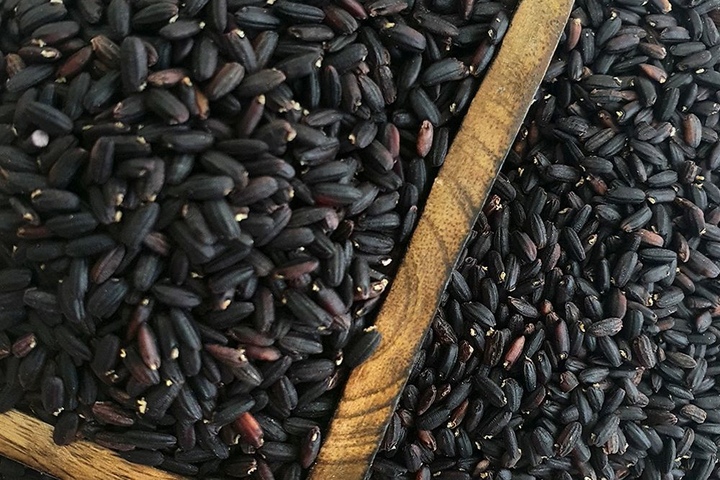 쌀·채소 > 국산 발아찰흑미 1.4kg(700g*2봉) / 24년산 발아 찰흑미 | 오늘의집 쇼핑