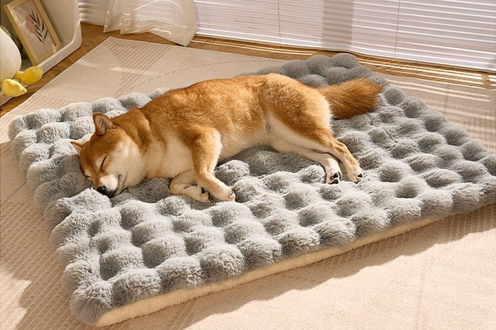 강아지 리빙 너무 부드러워~ 강아지 고양이 보들 퍼 방석 오늘의집 쇼핑