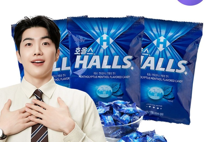 캔디·젤리·껌 호올스 쉐어백 멘토립터스 140g 3개 오늘의집 쇼핑