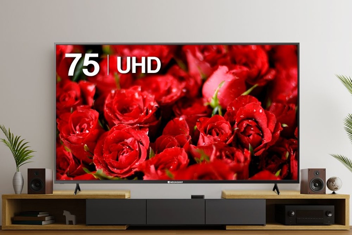 189cm~(75"~) > 190cm(75인치) UHD LG패널 TV모니터 1등급 대형 중소기업TV | 오늘의집 쇼핑