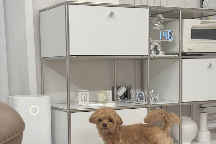 수납장 쿠폰가 274550원~ 노바 선반 철제 모듈 높은 거실장 수납 Tv 서랍장 1100 오늘의집 쇼핑