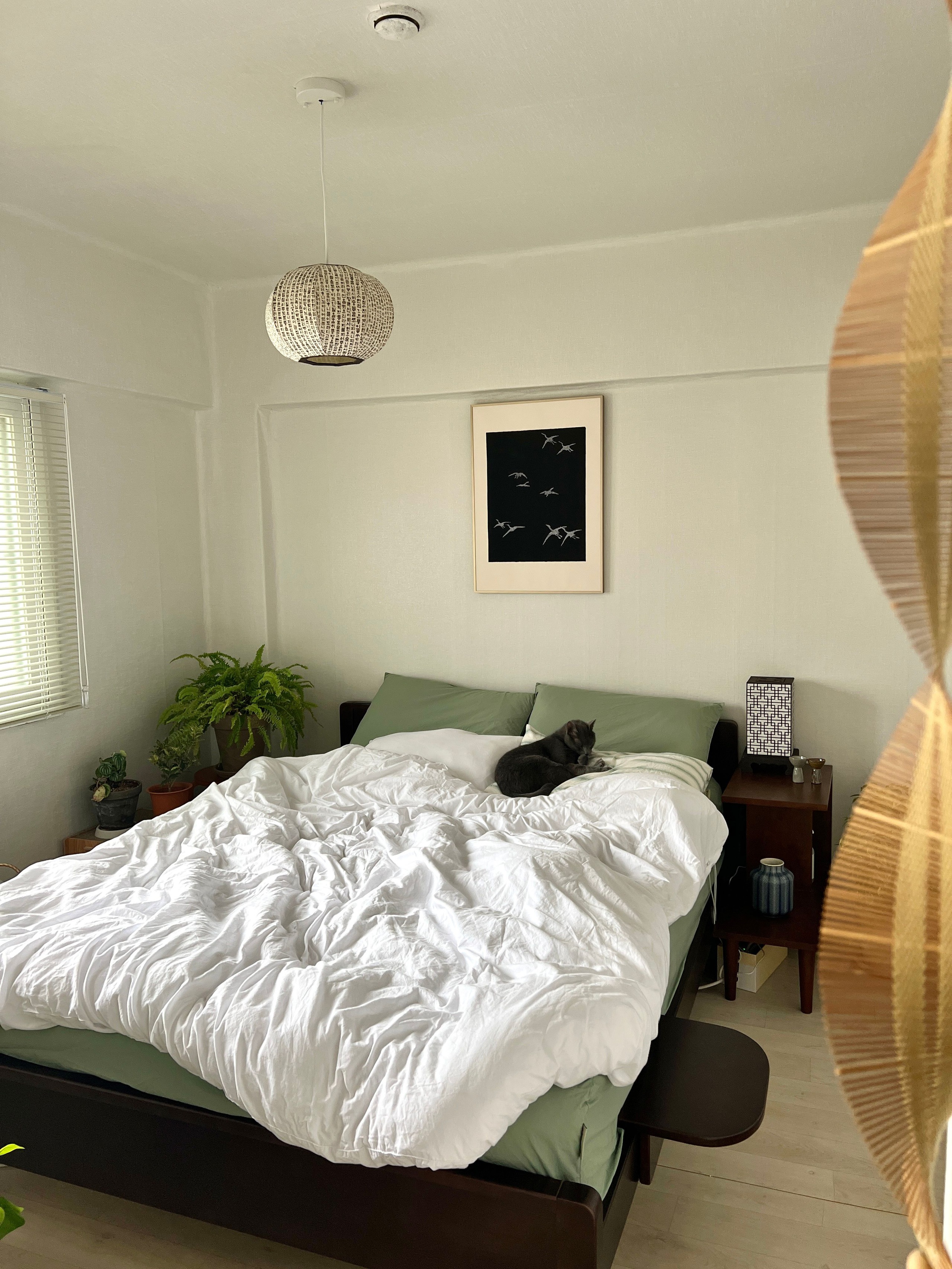 '패널추가 로그 SE0등급 고무나무 원목 침대 프레임 SS/Q' 제품으로 꾸민 유저들의 스타일링샷 | 오늘의집 유저들의 집꾸미기