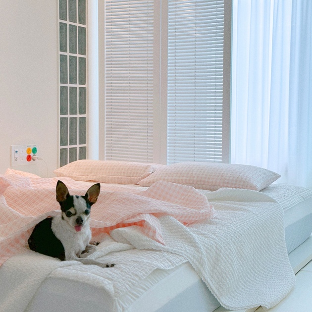 kim_mari_home 님의 라이프스타일 | 라이프스타일 슈퍼앱, 오늘의집