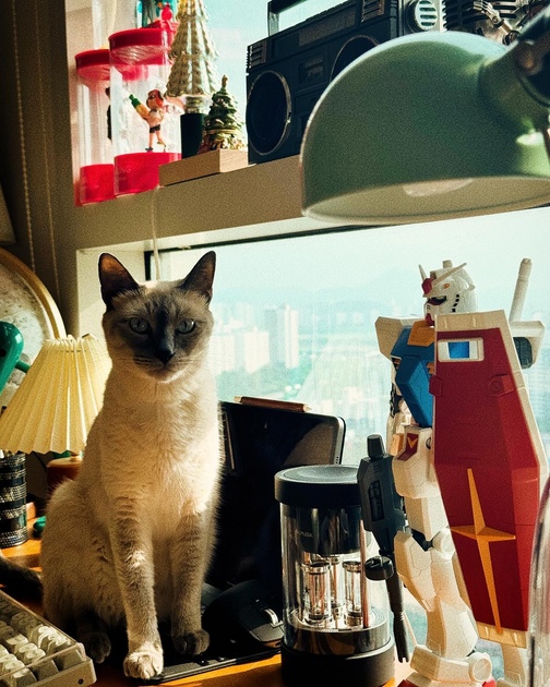 ji9.star 님의 라이프스타일 | 라이프스타일 슈퍼앱, 오늘의집