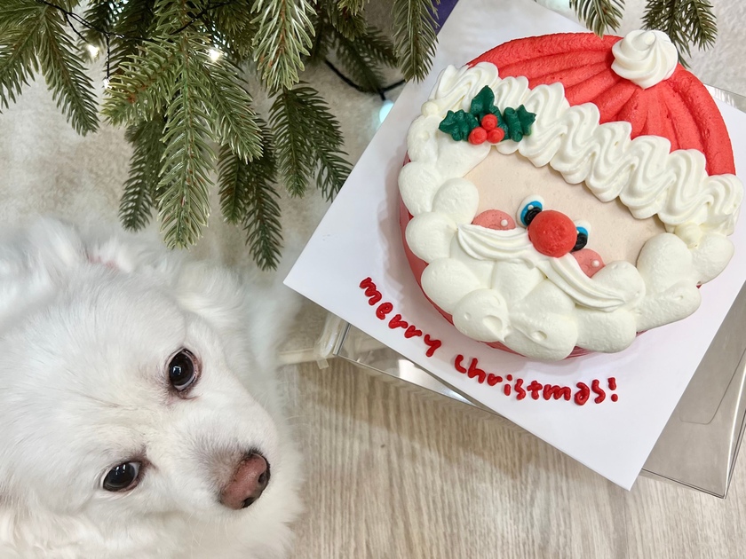 Kimmin.home 님의 라이프스타일 | 라이프스타일 슈퍼앱, 오늘의집