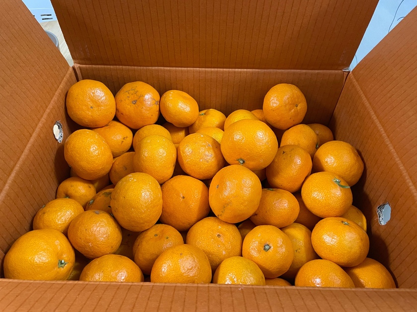 yeon_ha 님의 라이프스타일 | 라이프스타일 슈퍼앱, 오늘의집