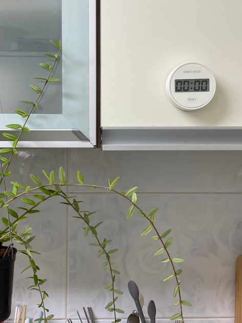 j.keep_ggoing_green 님의 라이프스타일 | 라이프스타일 슈퍼앱, 오늘의집