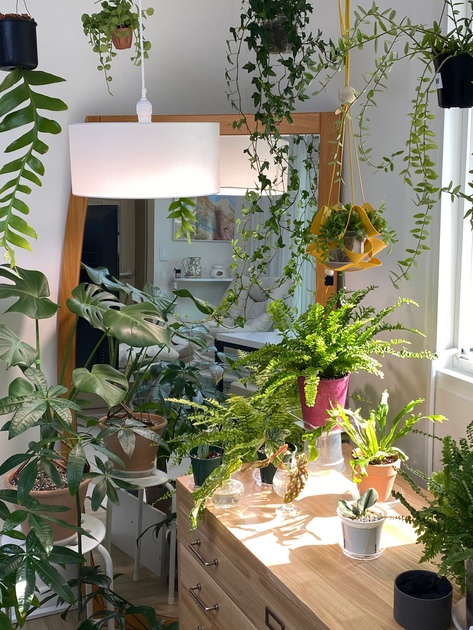 j.keep_ggoing_green 님의 라이프스타일 | 라이프스타일 슈퍼앱, 오늘의집