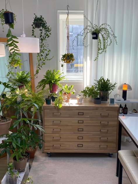 j.keep_ggoing_green 님의 라이프스타일 | 라이프스타일 슈퍼앱, 오늘의집