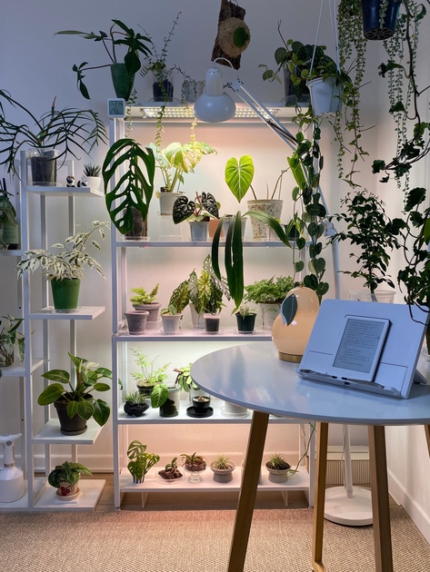 j.keep_ggoing_green 님의 라이프스타일 | 라이프스타일 슈퍼앱, 오늘의집