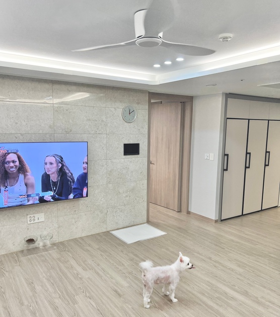 Kimmin.home 님의 라이프스타일 | 라이프스타일 슈퍼앱, 오늘의집