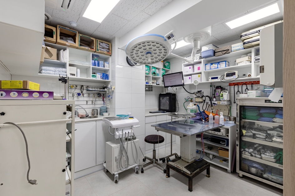 양천구 신정동 동물병원 28py | 라이프스타일 슈퍼앱, 오늘의집