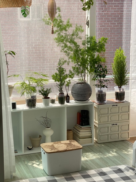 j.keep_ggoing_green 님의 라이프스타일 | 라이프스타일 슈퍼앱, 오늘의집