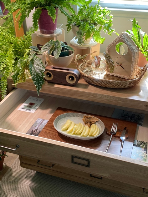 j.keep_ggoing_green 님의 라이프스타일 | 라이프스타일 슈퍼앱, 오늘의집