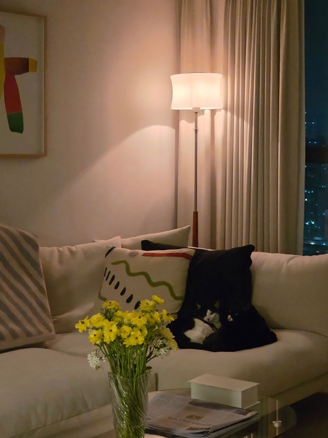 hamang_home 님의 라이프스타일 | 라이프스타일 슈퍼앱, 오늘의집