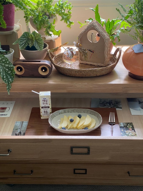 j.keep_ggoing_green 님의 라이프스타일 | 라이프스타일 슈퍼앱, 오늘의집