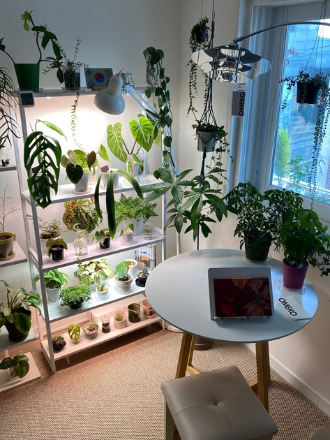 j.keep_ggoing_green 님의 라이프스타일 | 라이프스타일 슈퍼앱, 오늘의집