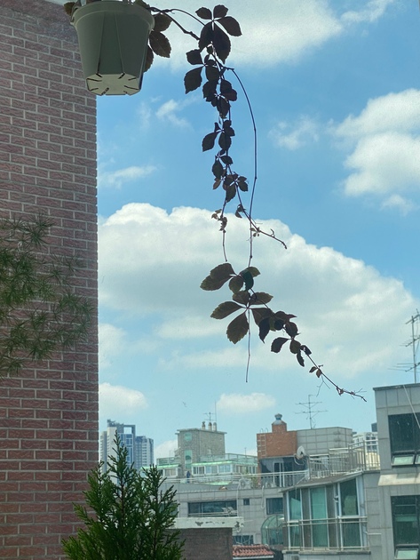 j.keep_ggoing_green 님의 라이프스타일 | 라이프스타일 슈퍼앱, 오늘의집