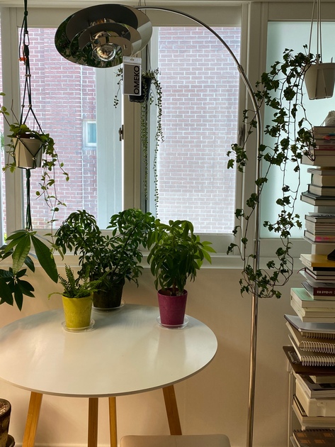 j.keep_ggoing_green 님의 라이프스타일 | 라이프스타일 슈퍼앱, 오늘의집