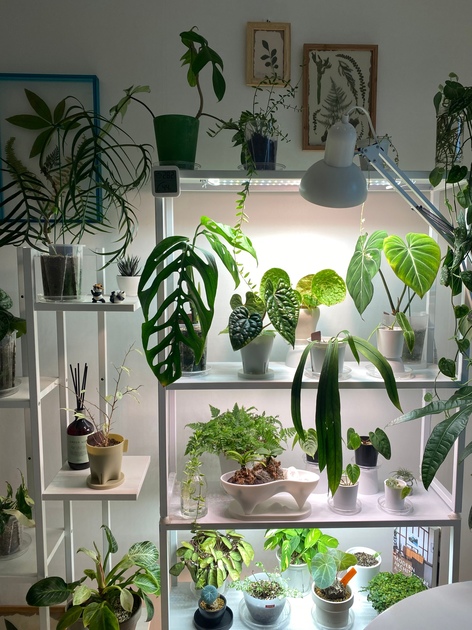 j.keep_ggoing_green 님의 라이프스타일 | 라이프스타일 슈퍼앱, 오늘의집