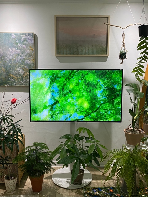 j.keep_ggoing_green 님의 라이프스타일 | 라이프스타일 슈퍼앱, 오늘의집