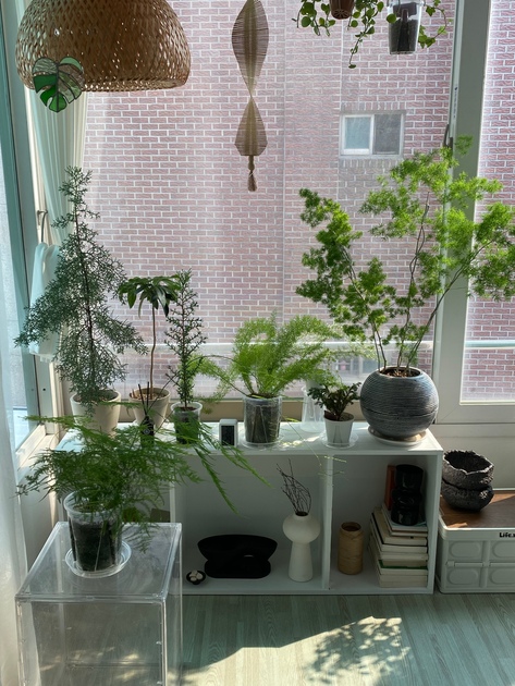 j.keep_ggoing_green 님의 라이프스타일 | 라이프스타일 슈퍼앱, 오늘의집