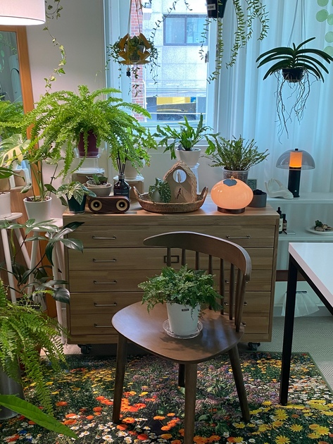 j.keep_ggoing_green 님의 라이프스타일 | 라이프스타일 슈퍼앱, 오늘의집