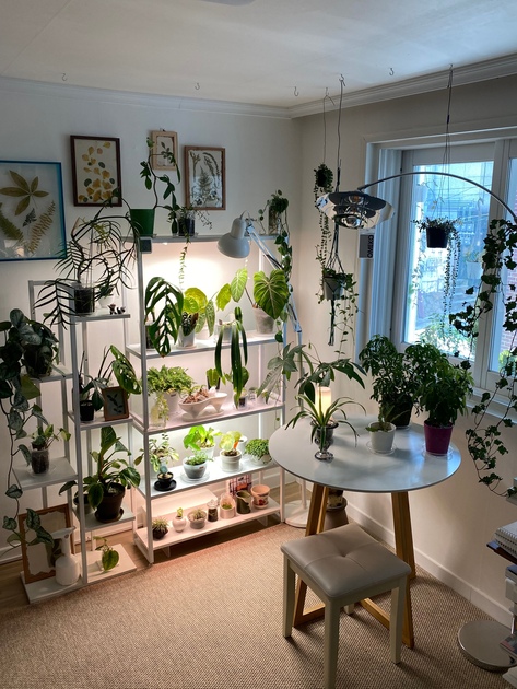 j.keep_ggoing_green 님의 라이프스타일 | 라이프스타일 슈퍼앱, 오늘의집